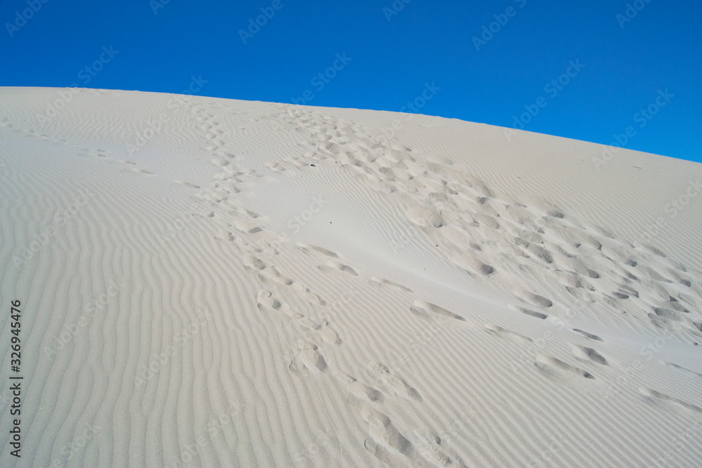 Le bianche dune di Is Arenas Biancas a Teulada Stock Photo | Adobe Stock