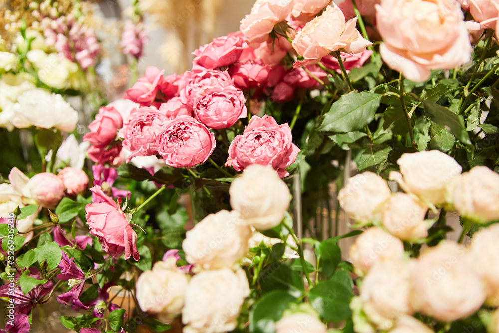 Selection of different varieties of roses Stock Photo | Adobe Stock