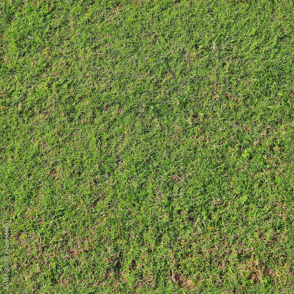 High resolution foto realistic seamless texture of green grass and ...