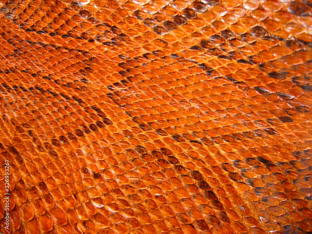 Exotic skin. Red, golden skin of a snake, python. Haberdashery leather ...