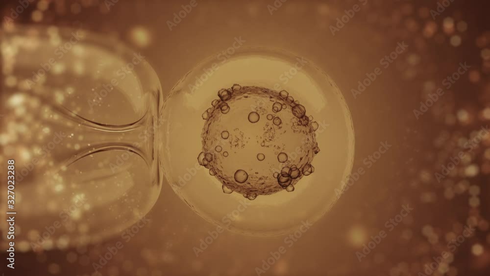 IVF in vitro fertilization through a microscope on gold. Scientific ...