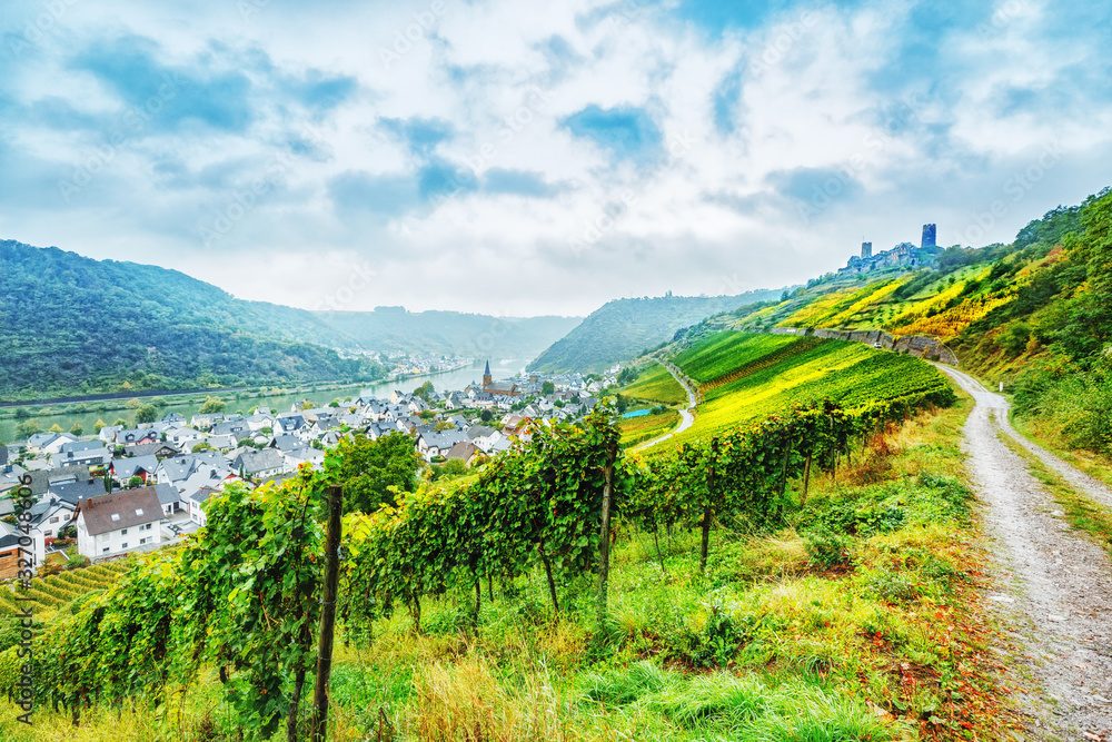 Germany, Castle Burg Thurant in valley of Moselle river. Beautiful ...