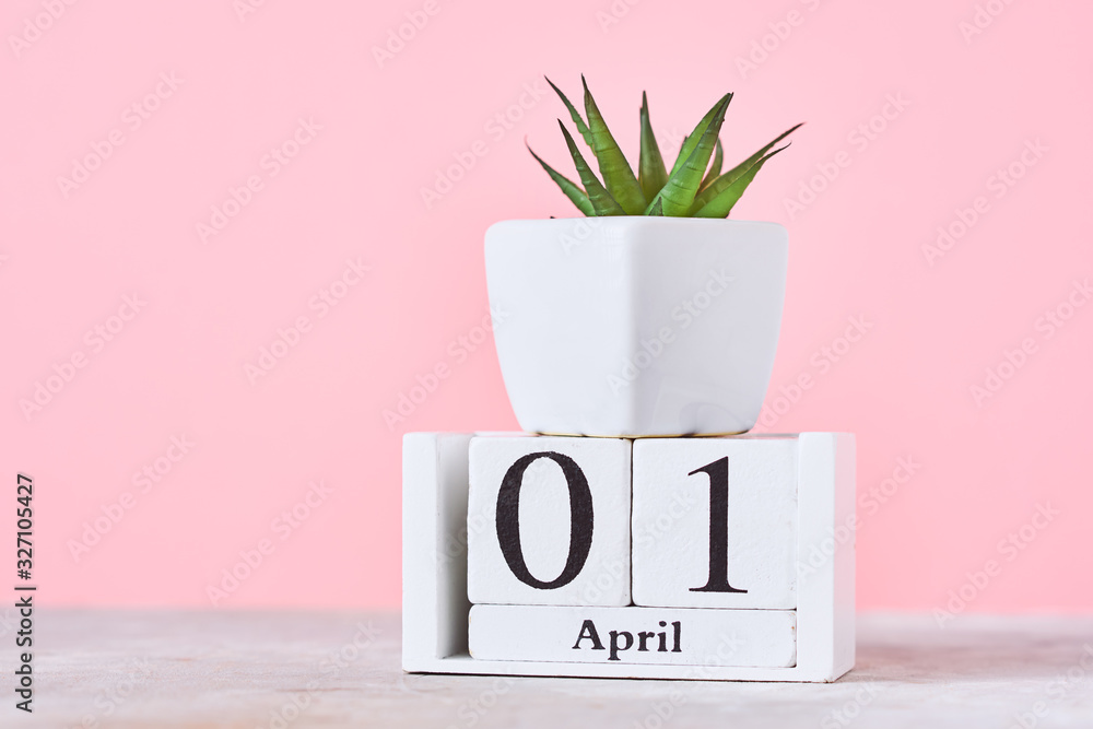 Wooden blocks calendar with date 1st april and plant on the pink ...