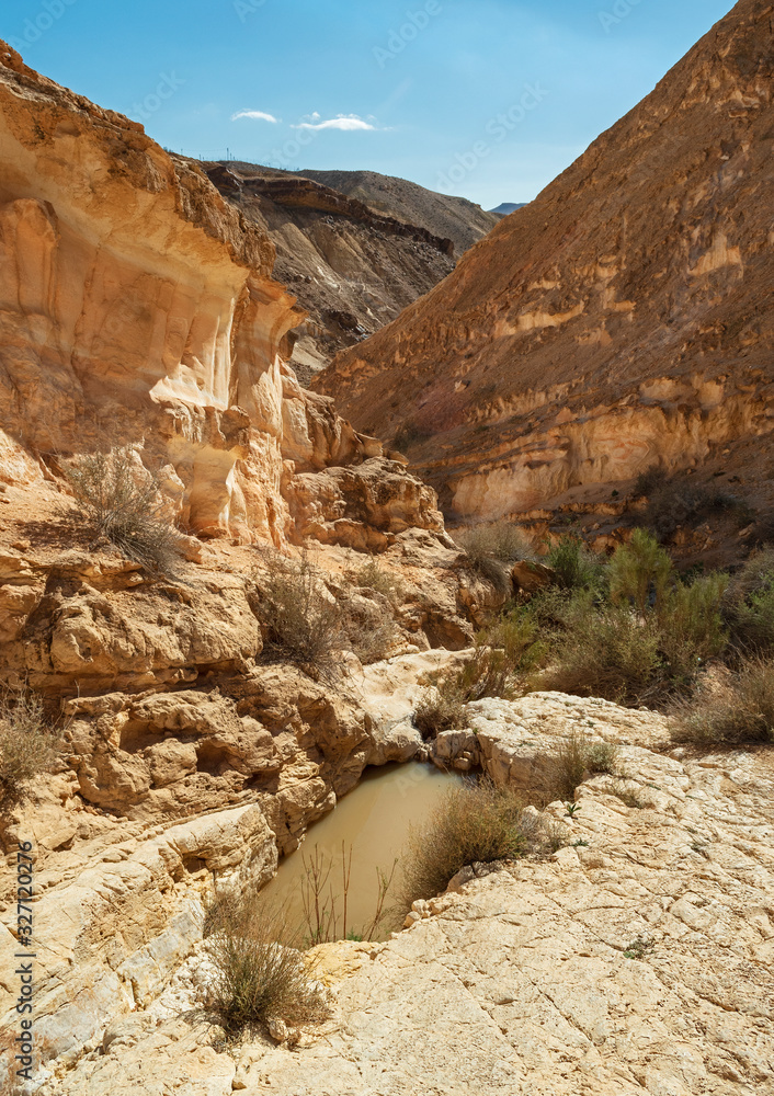 Foto de natral seasonal rain water cache in the limestone bedrock of ...