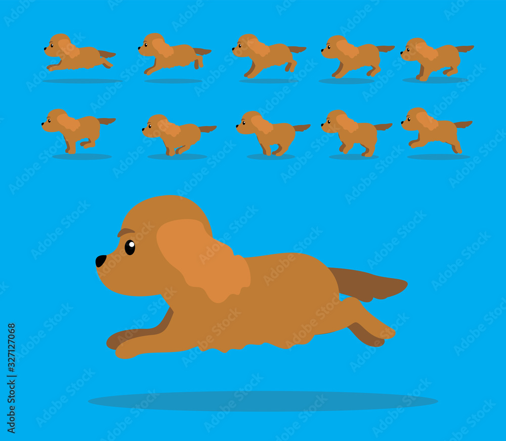 Animal Animation Sequence Dog Cocker Spaniel Cartoon Vector Stock ...