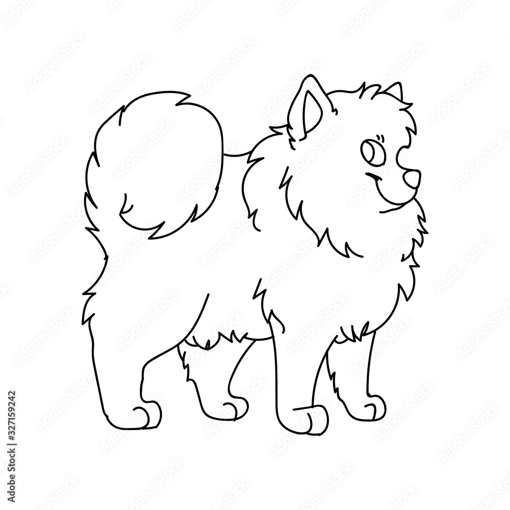 Cute cartoon monochrome lineart pomeranian dog breed vector clipart ...