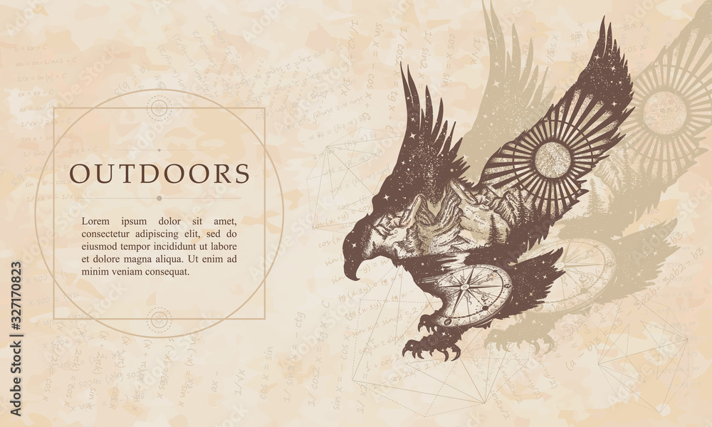 Native American Hawk Art