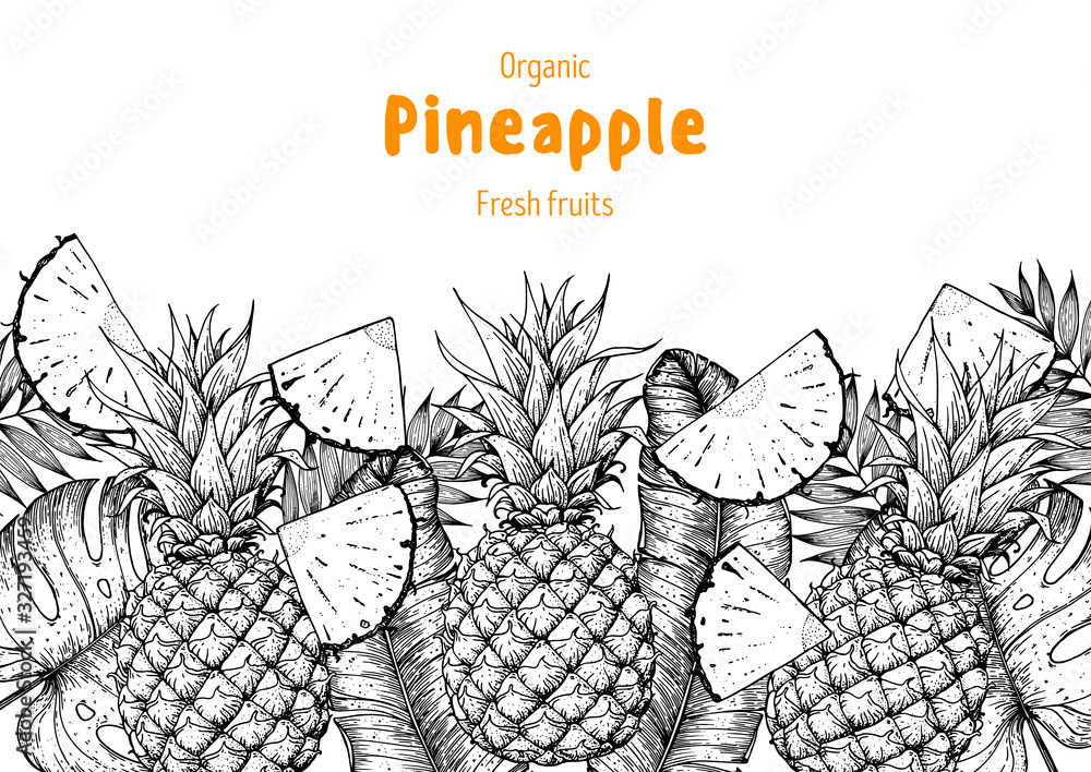 Pineappple hand drawn package design. Pineapple frame template. Vector ...