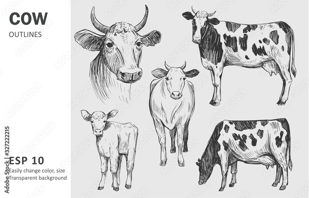 Sketch of cow. Hand drawn illustration converted to vector Stock Vector ...