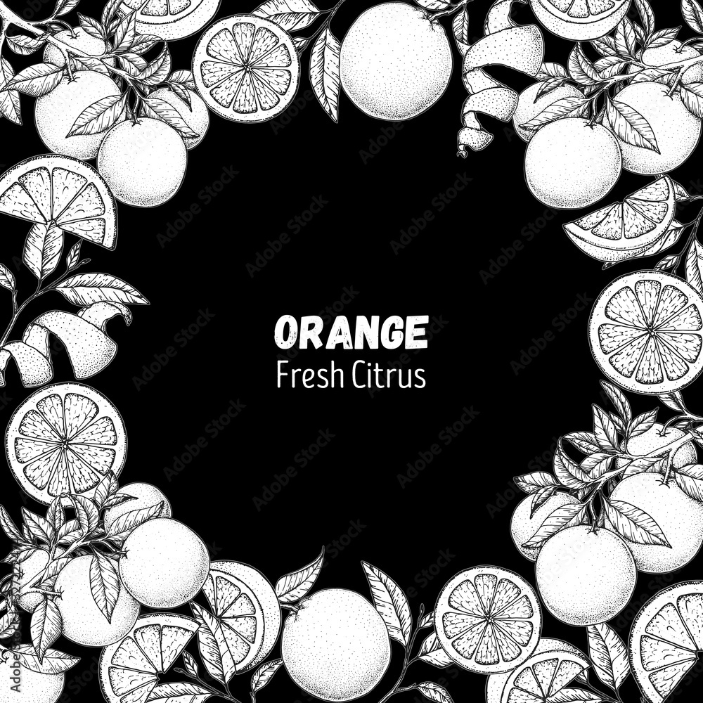 Orange hand drawn package design. Vector illustration. Orange sketch ...