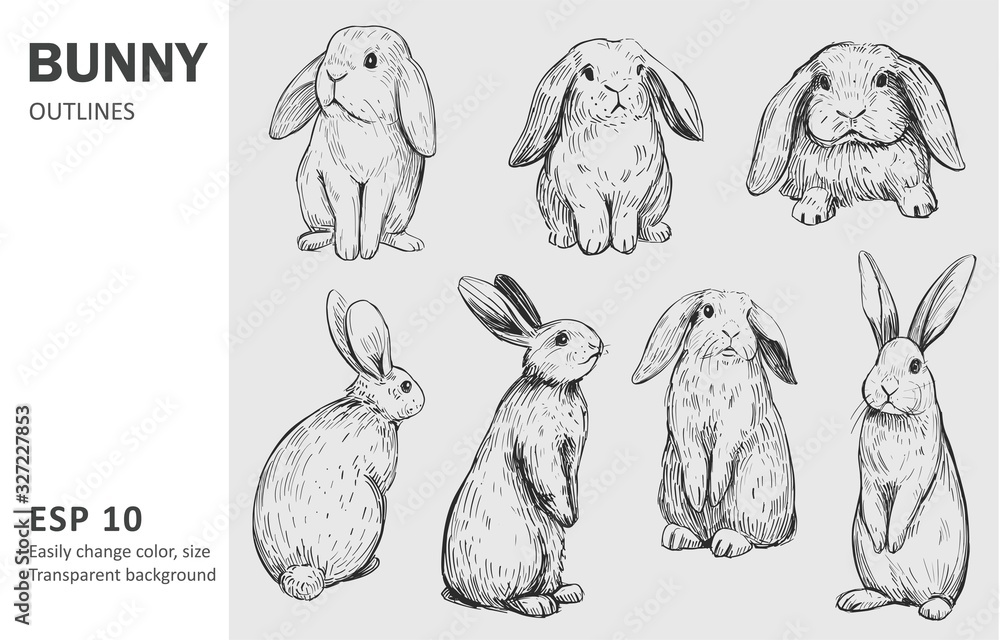 Poster Sketch of bunny. Hand drawn outline converted to vector ...