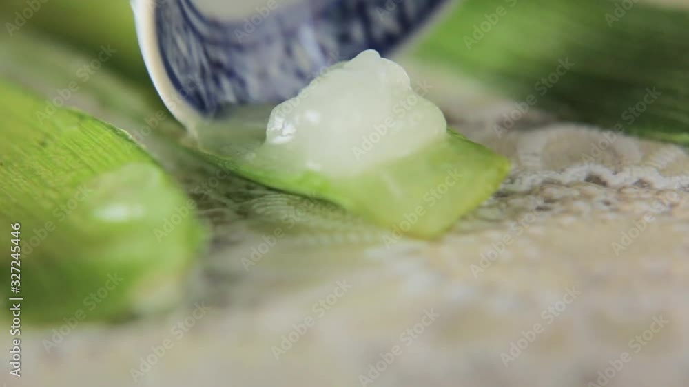 Aloe Vera gel extraction. Gei extraction from Aloe Vera plant Stock ビデオ ...