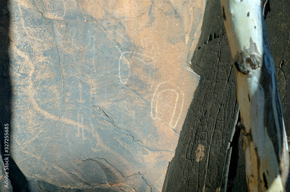 Aboriginal rock engravings at Sacred Canyon, Flinders Ranges National ...