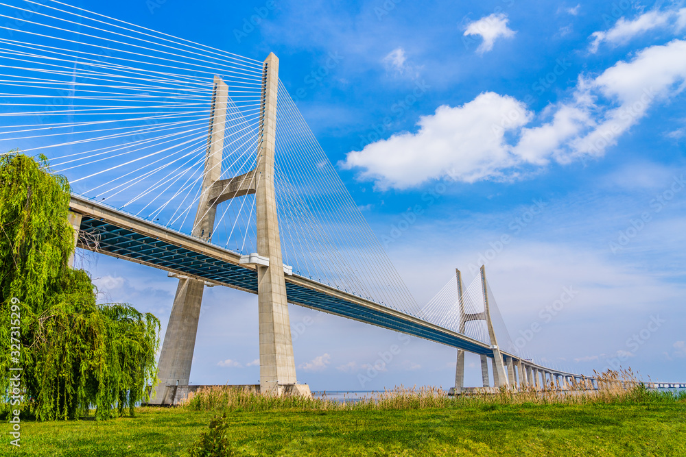 Vasco da Gama bridge, a cable stayed bridge flanked by viaducts and ...