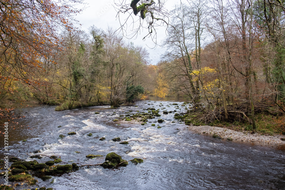 autumn tree colours in English countryside landscapes Stock Photo ...