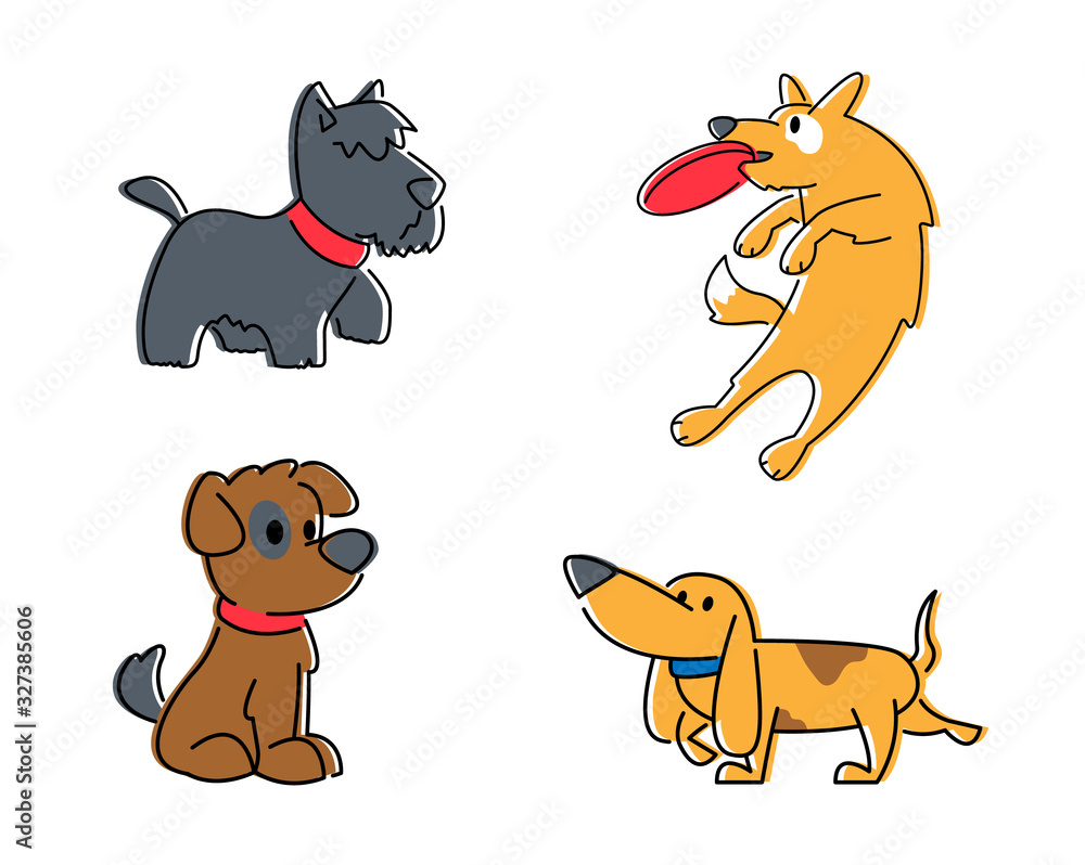 Set of Cute Dogs Different Breeds Isolated on White Background. Pets ...