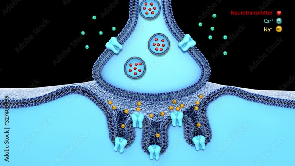 Blue synapse and neuron on a blue background. 3d rendering,scientific ...