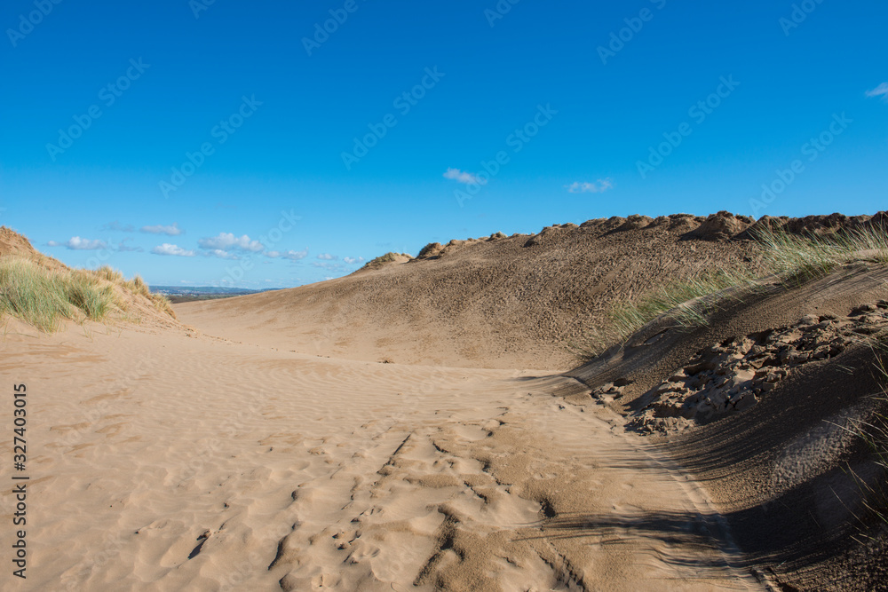 Braunton Burrows in North Devon is the largest sand dune system in ...