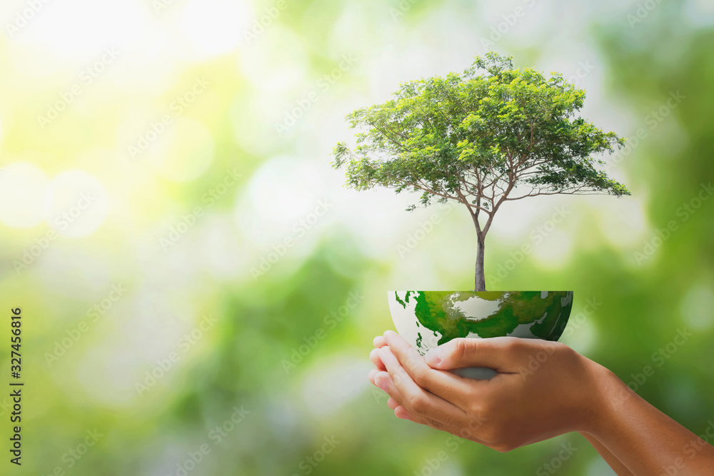 hand holding tree with half globe an d sunlight. concept eco earth day ...