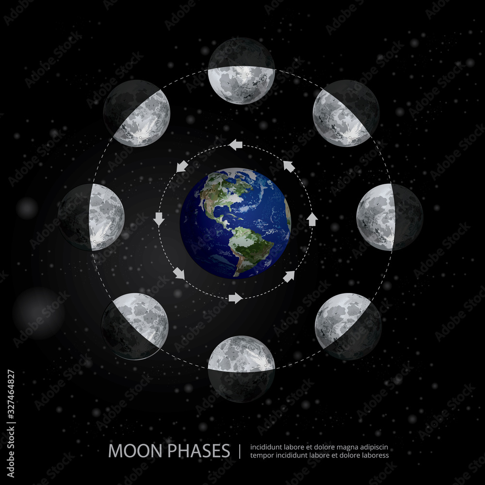 Movements of the Moon Phases Realistic Vector Illustration Stock ...