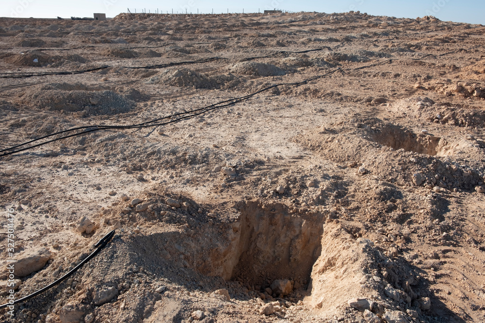 Reforestation program in the Moroccan desert Stock Photo | Adobe Stock