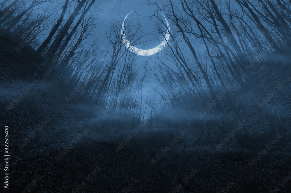 mysterious moon in dark forest at night, scary dark landscape Stock ...