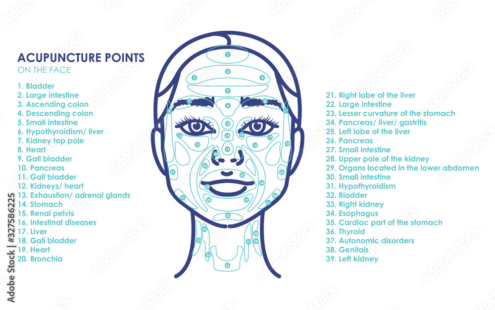 Acupuncture points on the face. Young woman face. Vector trendy line ...