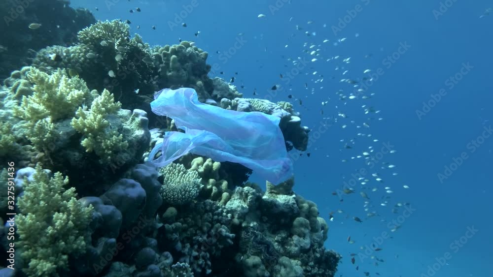 Discarded blue plastic bag on the beautiful coral reef, school of fish ...