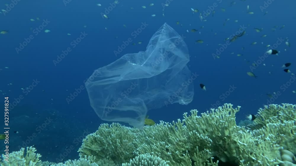 Plastic bag swims above beautiful tropical coral reef, on background in ...