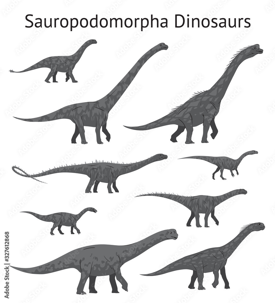 Set of sauropodomorpha dinosaurs. Monochrome vector illustration of ...