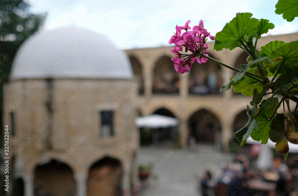 Flower in the "Büyük Han", the largest caravansarai on the island of ...