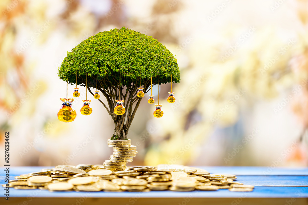 Stacking coins and golden money bag of tree with growing put on the ...