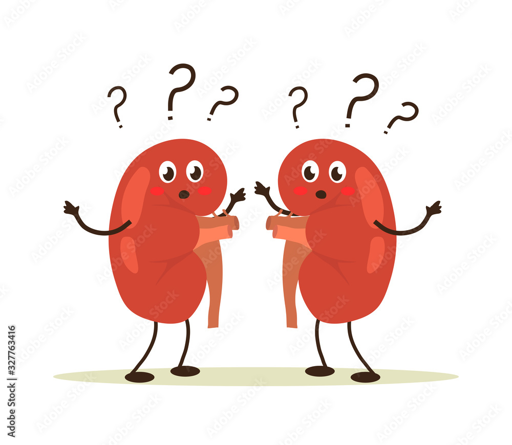 Human kidneys as a question mark on a white background. Cartoon. Vector ...