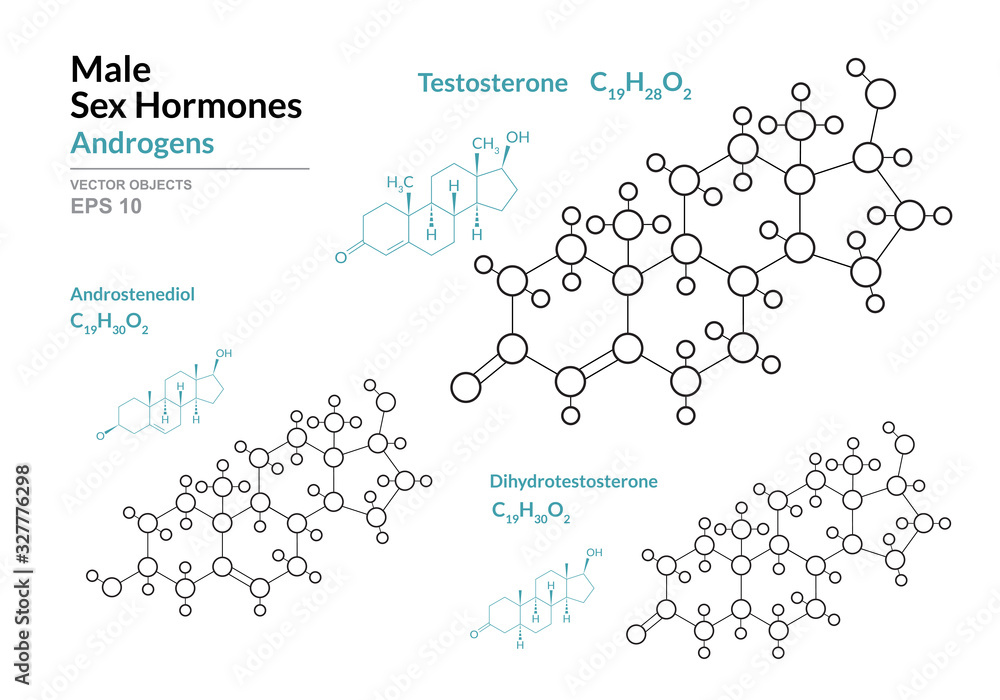 Testosterone Androstenediol Dihydrotestosterone Male Sex Hormones