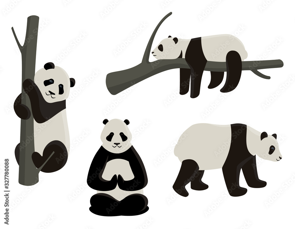 Vector set of pandas in different poses. Cartoon style illustrations ...