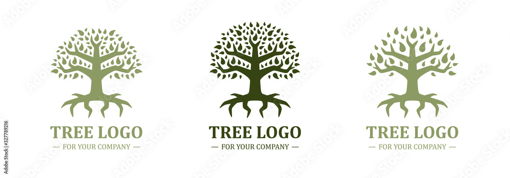 Tree logo isolated on a white background. Classic design. Green color ...