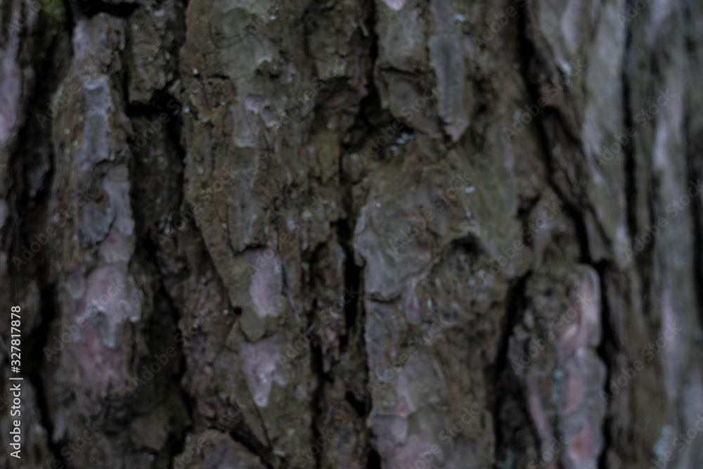 Wooden Background.Seamless texture of wood bark. Background texture of ...