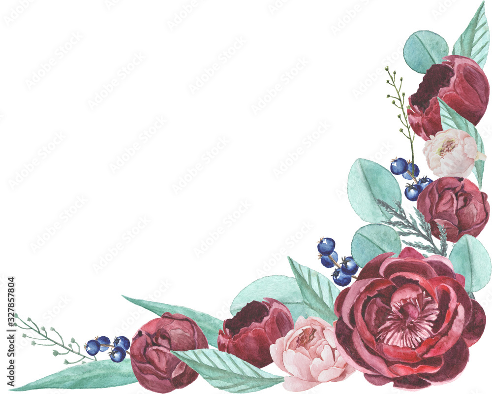 Watercolor marsala peonies with black currant isolated on white ...