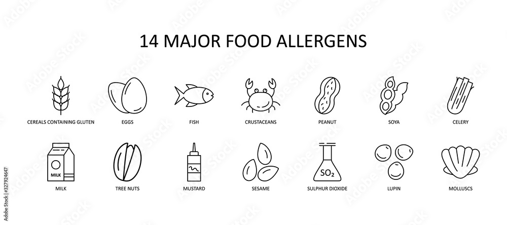 14 major food allergens icon. Vector set of 14 icons with editable ...