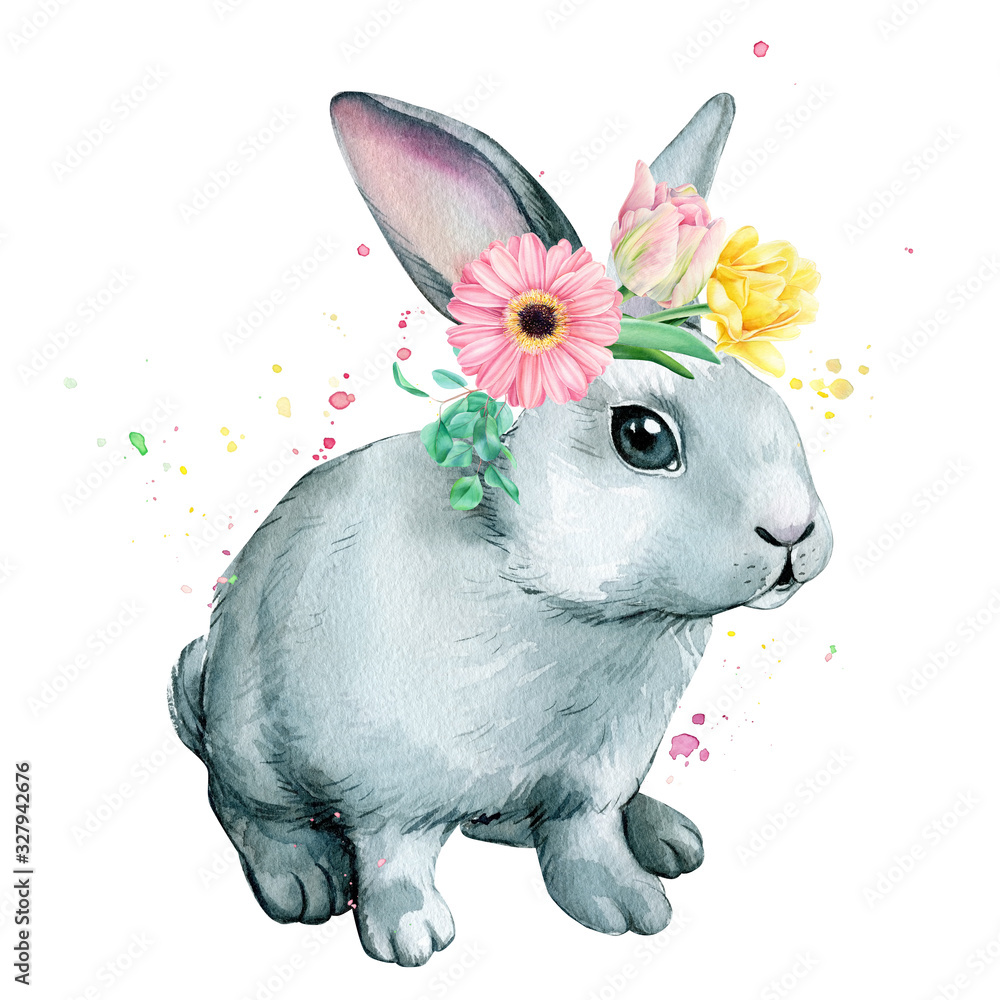 Cool Rabbit Drawings