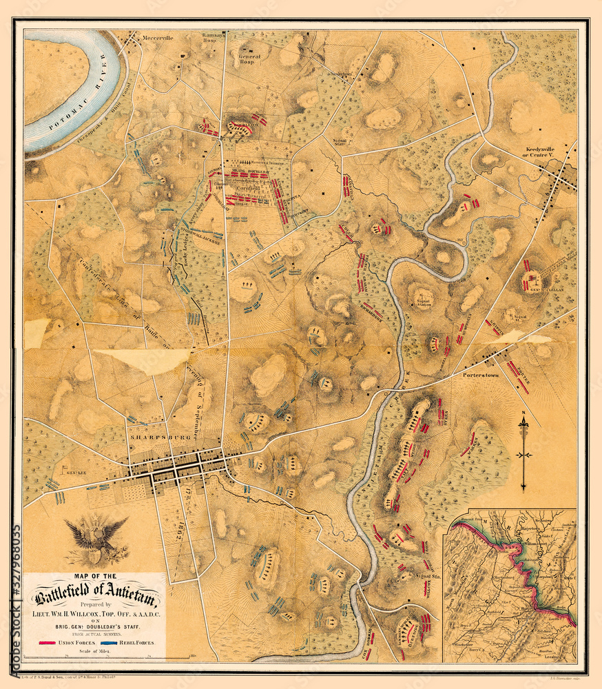 Poster Map of the Battlefield of Antietam 1864 – Wall Art | UkPosters