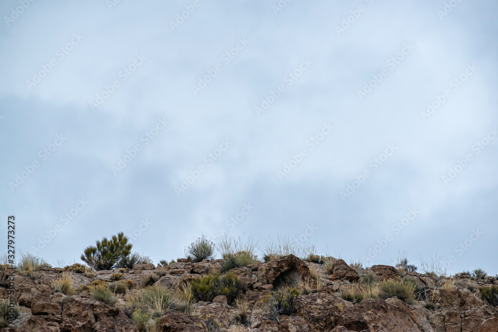 Perennial Bunchgrasses Silhouetted on a rocky Great Basin Desert Ridge ...