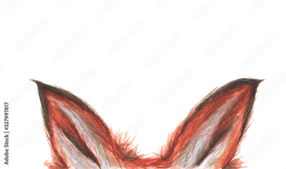 Fox ears isolated on white background. Watercolor illustration. Poster ...