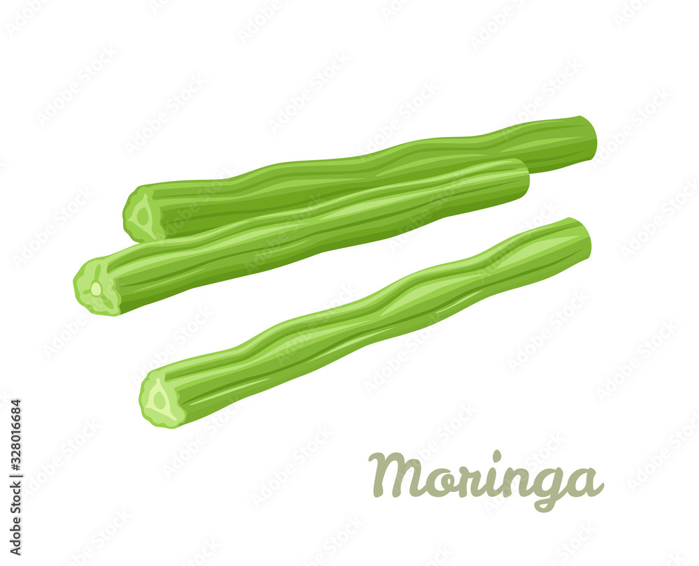 Moringa Oleifera isolated on white background. Seed Pods Drumstick Tree ...