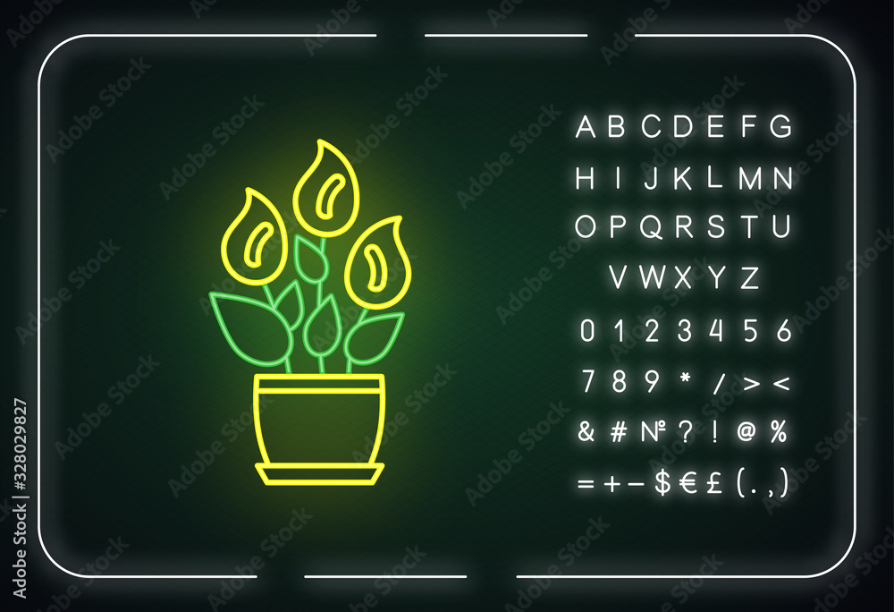 Peace lily neon light icon. Spathiphyllum wallisii. Floweing plant ...