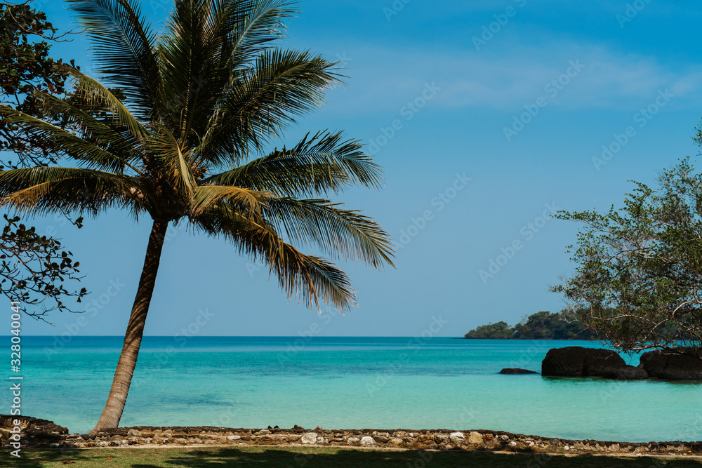 Tropical island beach landscape with a palm trees in Thailand. Crystal ...