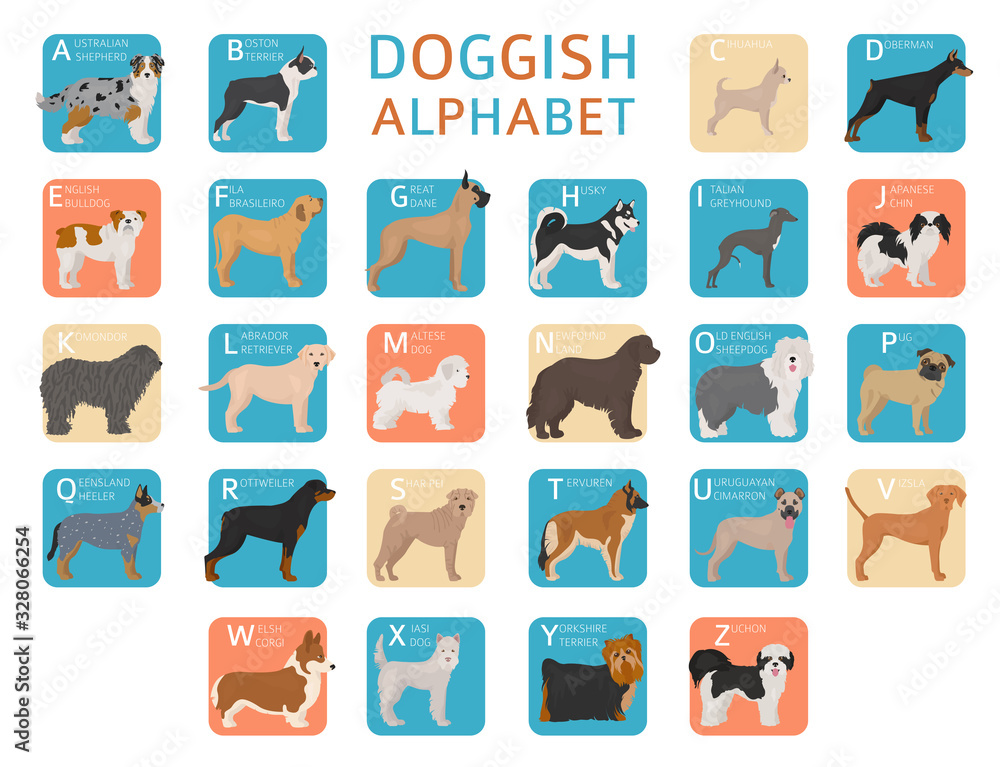 Doggish alphabet for dog lovers. Letters of the alphabet with the names ...