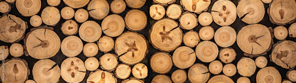 Stack of wooden stumps in cross section texture background banner ...