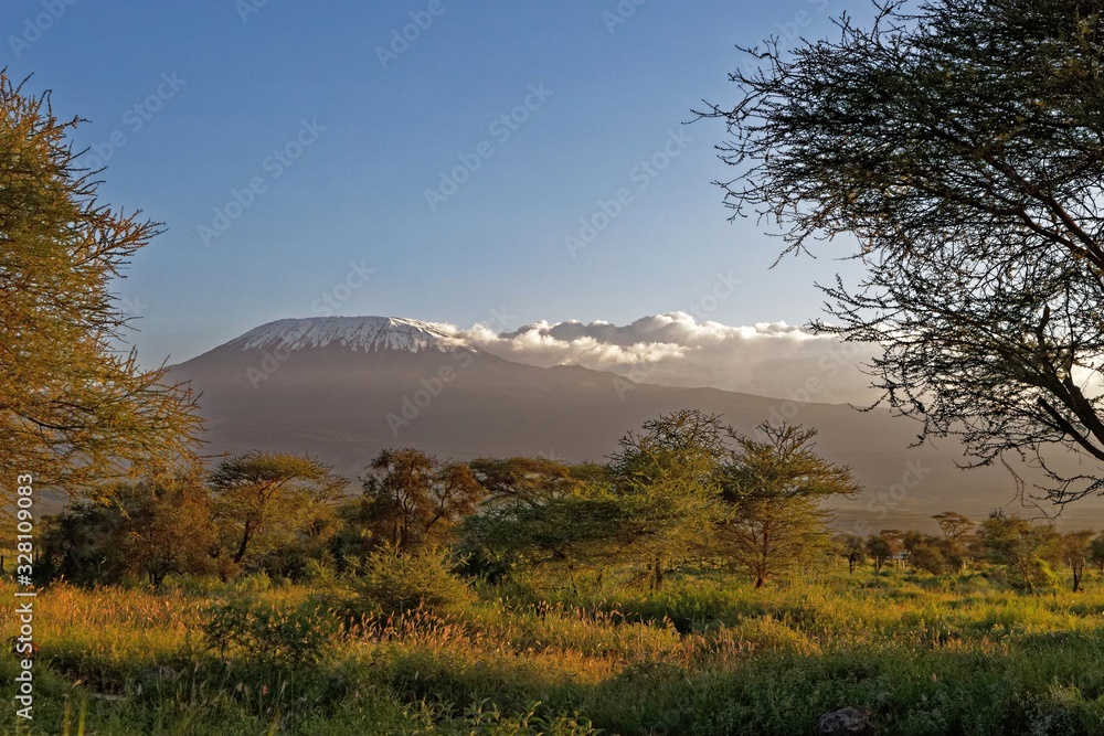 Kilimanjaro Stock Photo | Adobe Stock