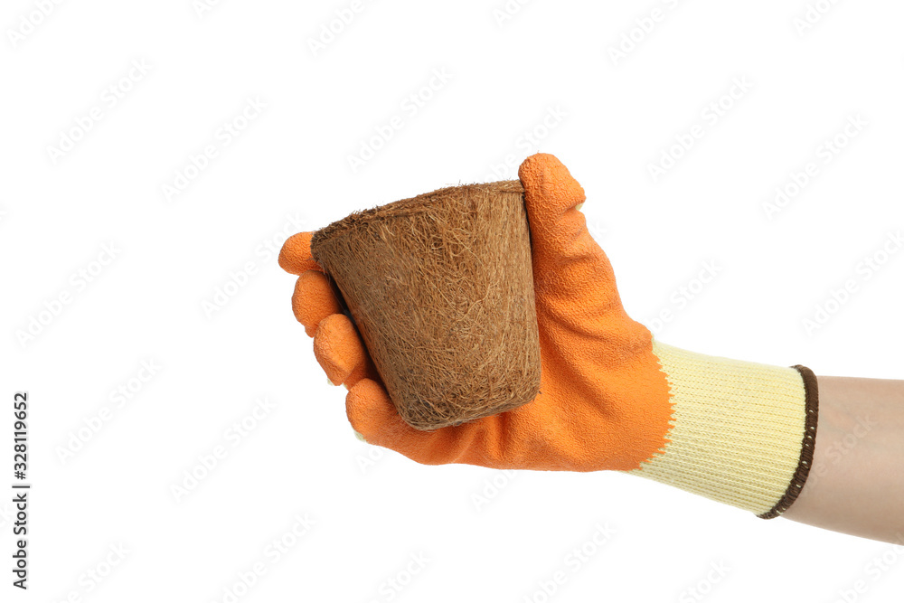 Hand in glove holds pot, isolated on white background Stock Photo ...